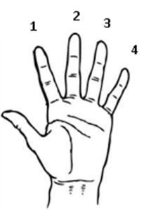 hand finger notation | Simplifying Theory